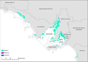 New research advances blue carbon opportunities in South Australia ...
