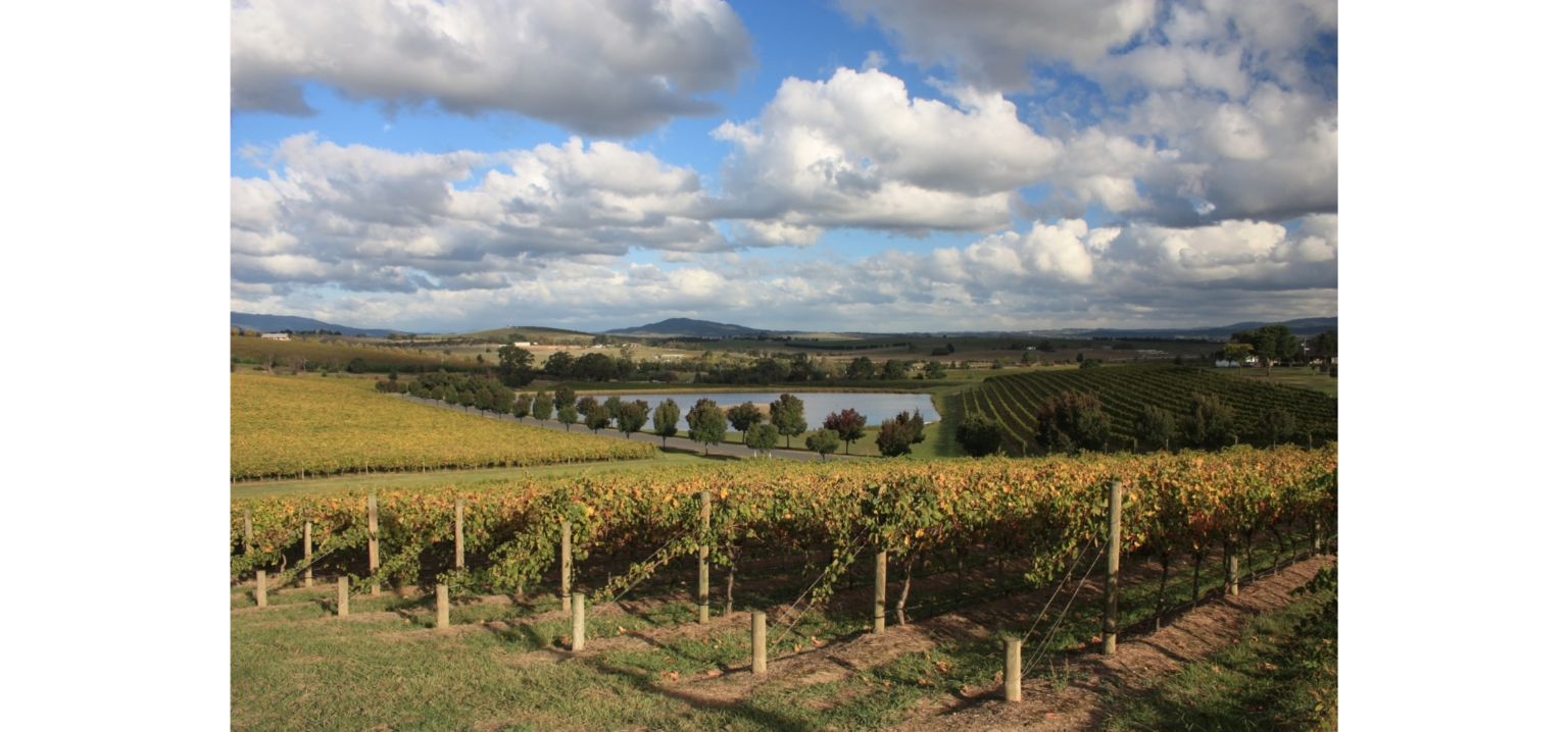 South Australian 2025 State Infrastructure Strategy Released | Goyder ...