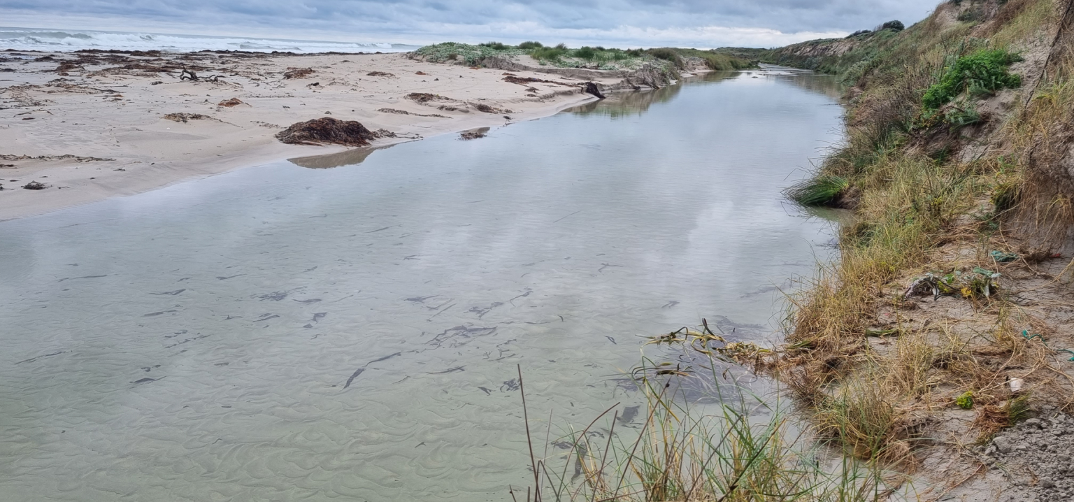 Occurrence and movement of seawater in aquifers of the Limestone Coast ...
